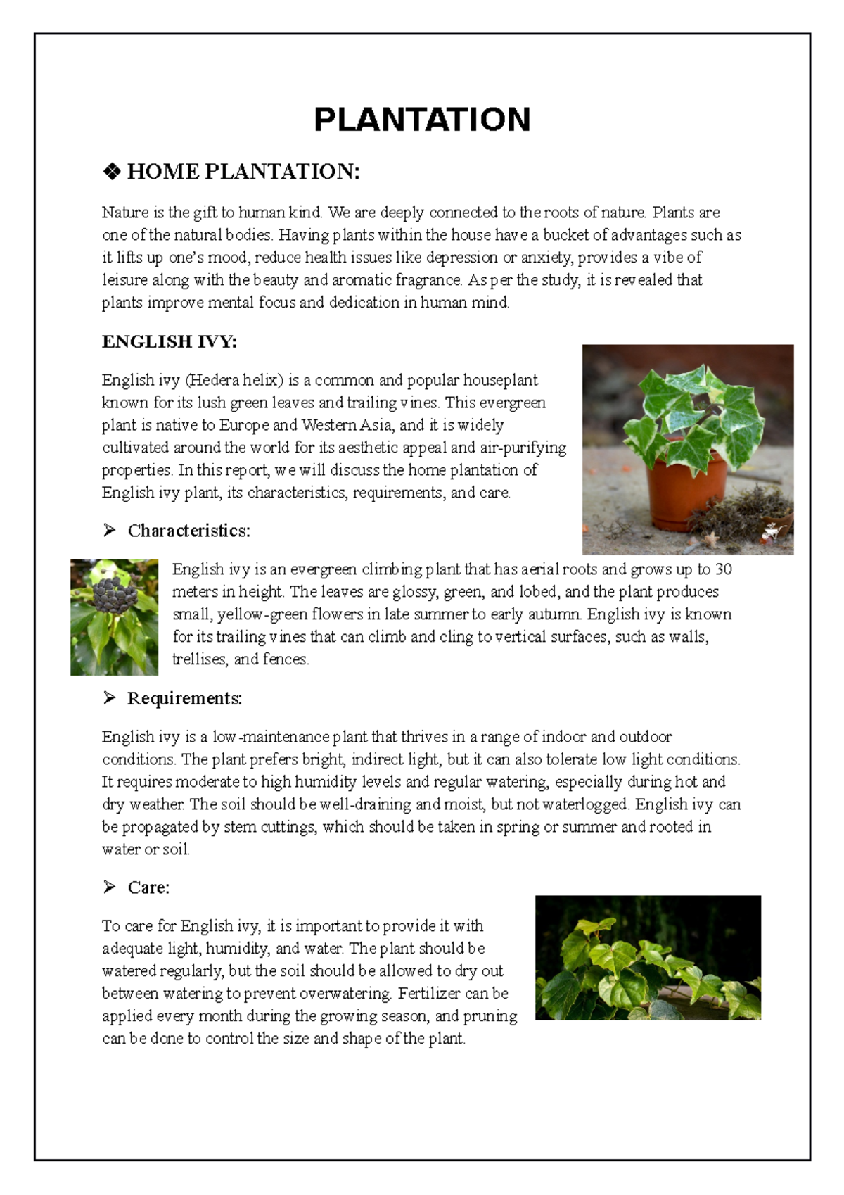 Plantation - PLANTATION HOME PLANTATION: Nature is the gift to human ...