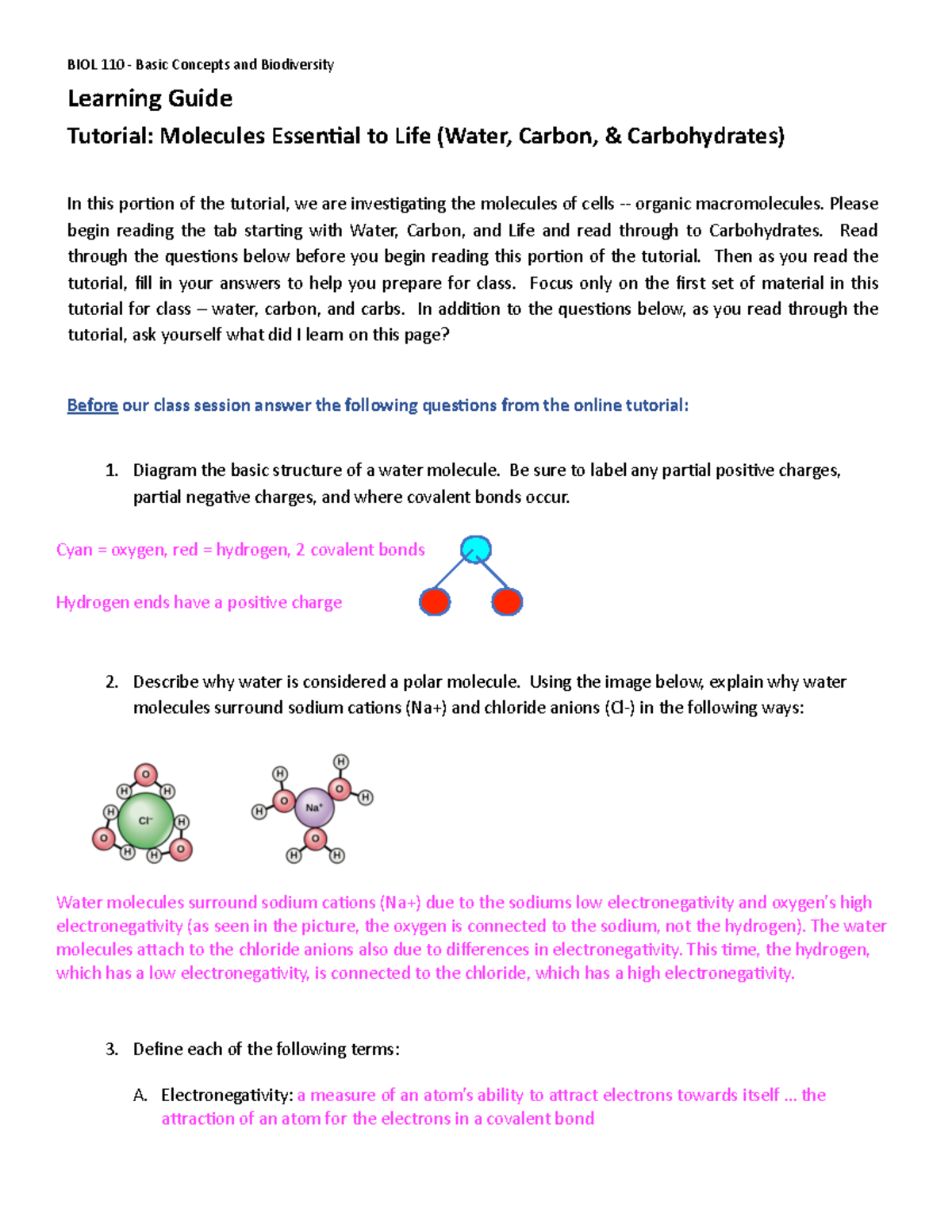 BIOL 110 #3 (a) LG - woodward - BIOL 110 - Basic Concepts and ...