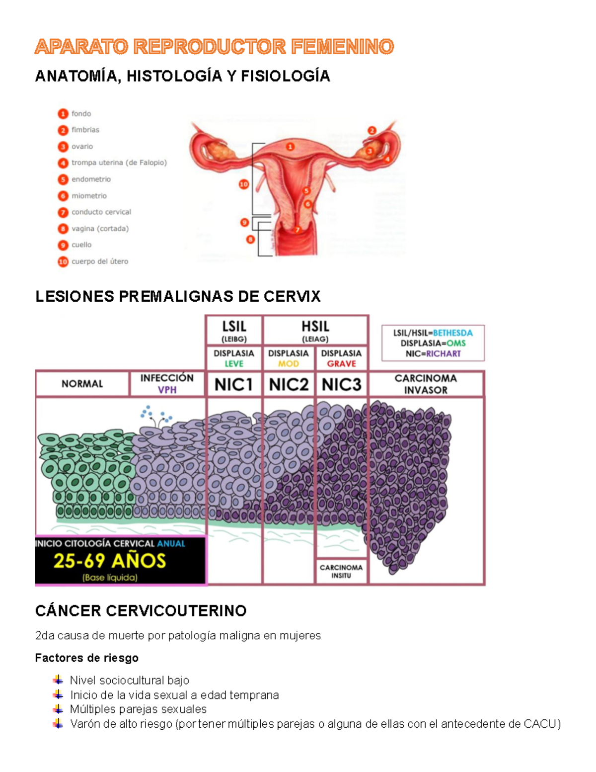 Resumenes Oncologia - ANATOMÍA, HISTOLOGÍA Y FISIOLOGÍA LESIONES ...