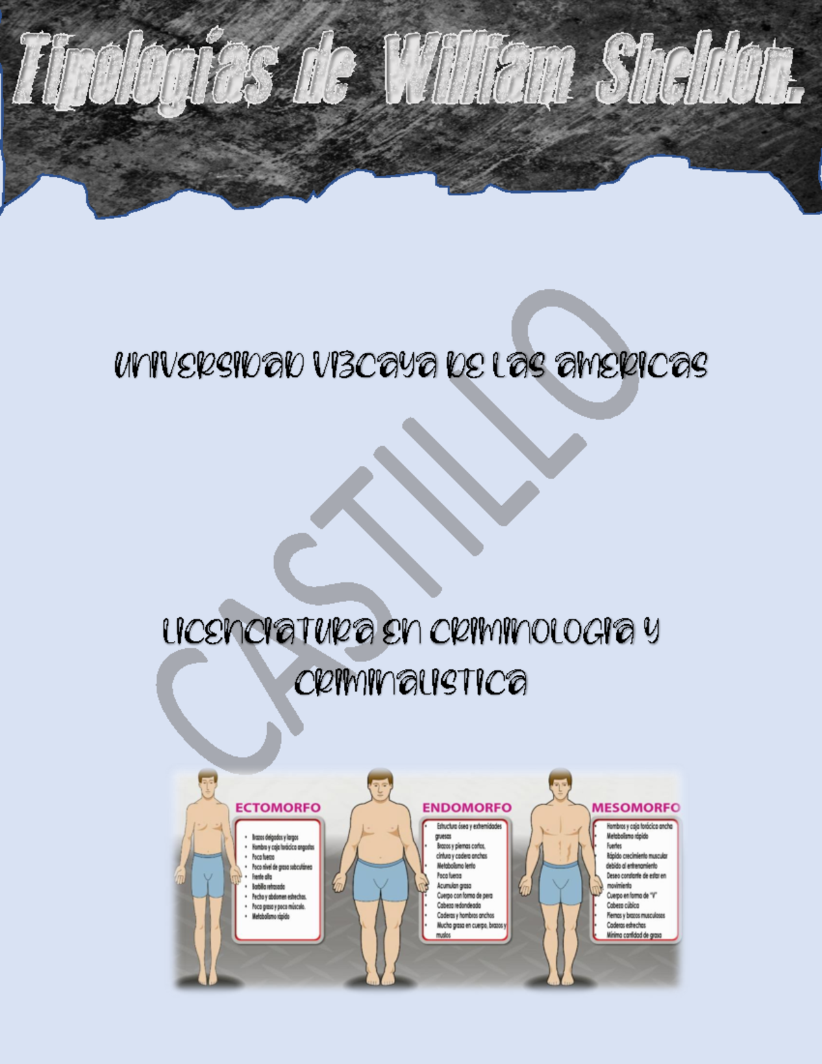Tipologías de Sheldon - Warning: TT: undefined function: 32 Tipologías ...