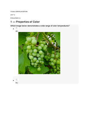 UNIT 3 Challenge 3.1 - VISUAL COMMUNICATION UNIT 3 CHALLENGE 3. 1 — Creative Design Process Why ...