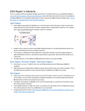 Bacterial Unknown Project - Bacterial Unknown Identification Project ...