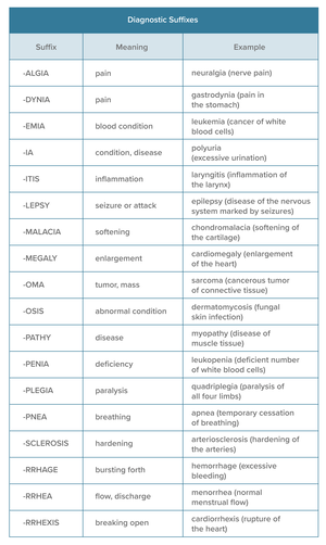 Legal Latin Definitions and Terms: A List of Latin Terminology Commonly ...