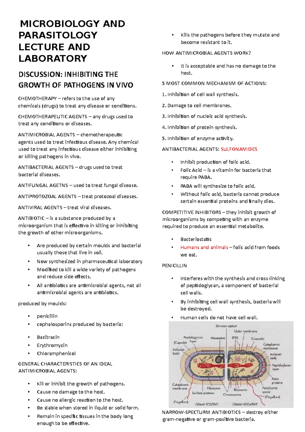Microbiology and Parasitology (Part 2 Discussion) - MICROBIOLOGY AND PARASITOLOGY LECTURE AND ...