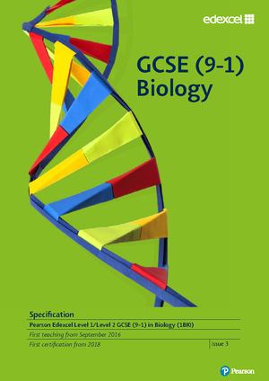 Spermcell - 4.1.1.3 - Cell Specialisation in the official AQA GCSE ...