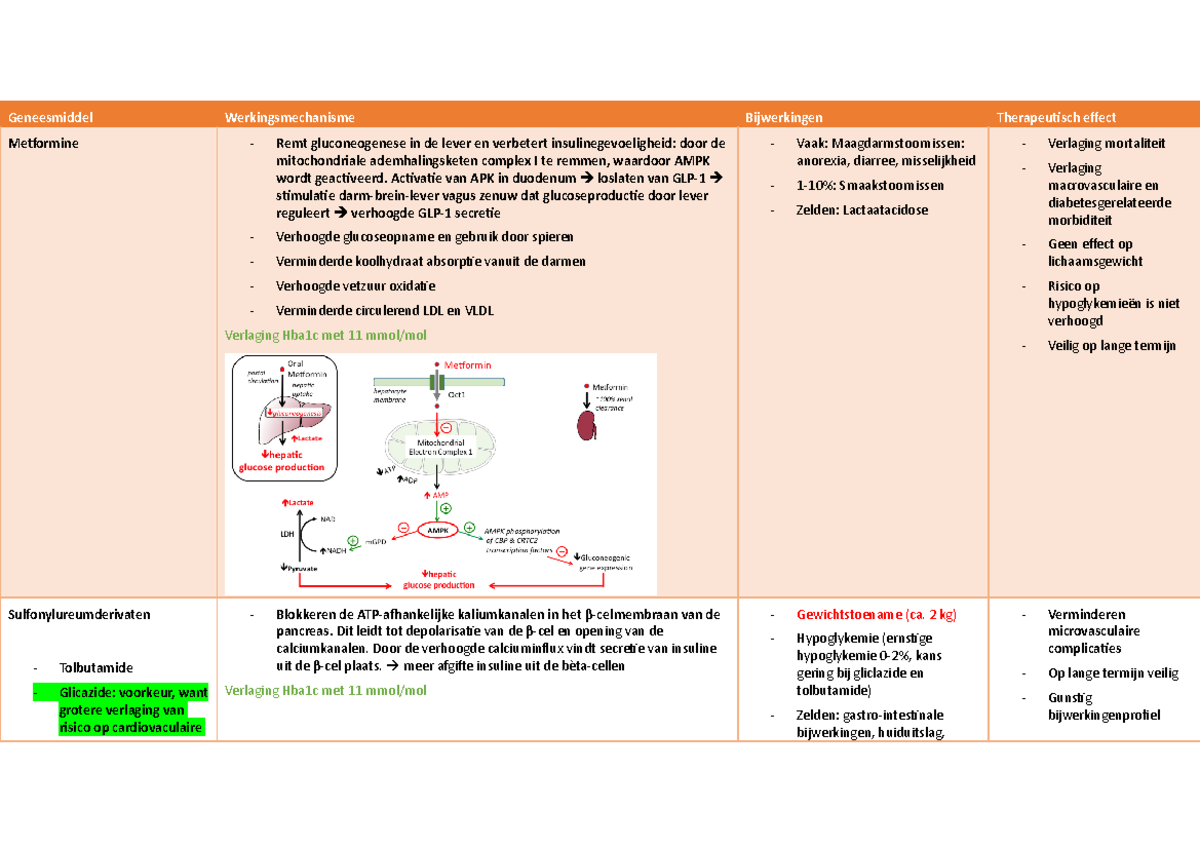 Geneesmiddelen diabetes - Geneesmiddel Werkingsmechanisme Bijwerkingen ...