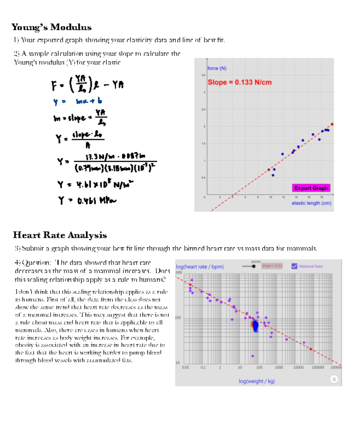 Lab 2 Young’s Modulus And Scaling Relations - Young’s Modulus 1) Your ...