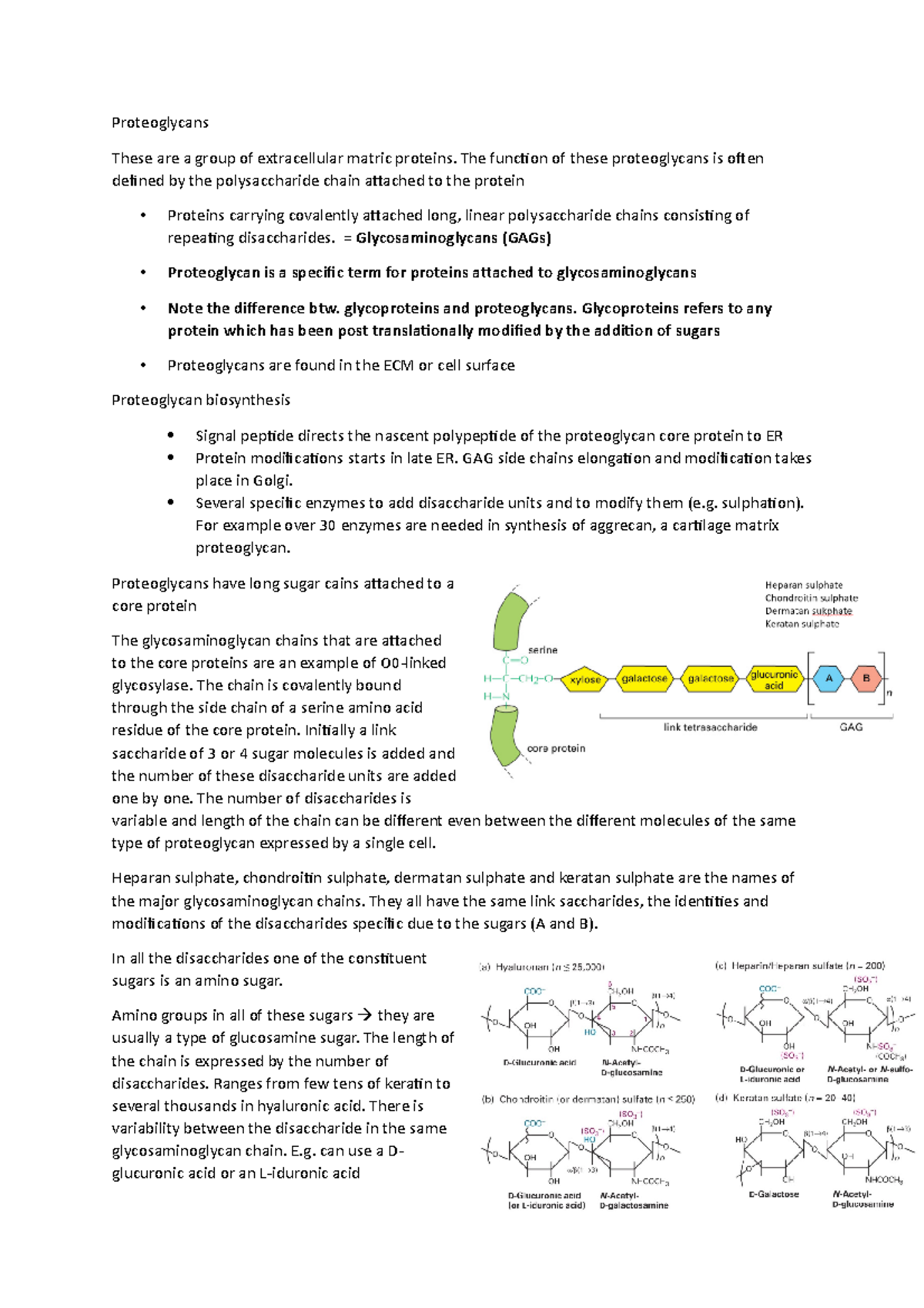Lecture 9 - Proteoglycans - Proteoglycans These are a group of ...