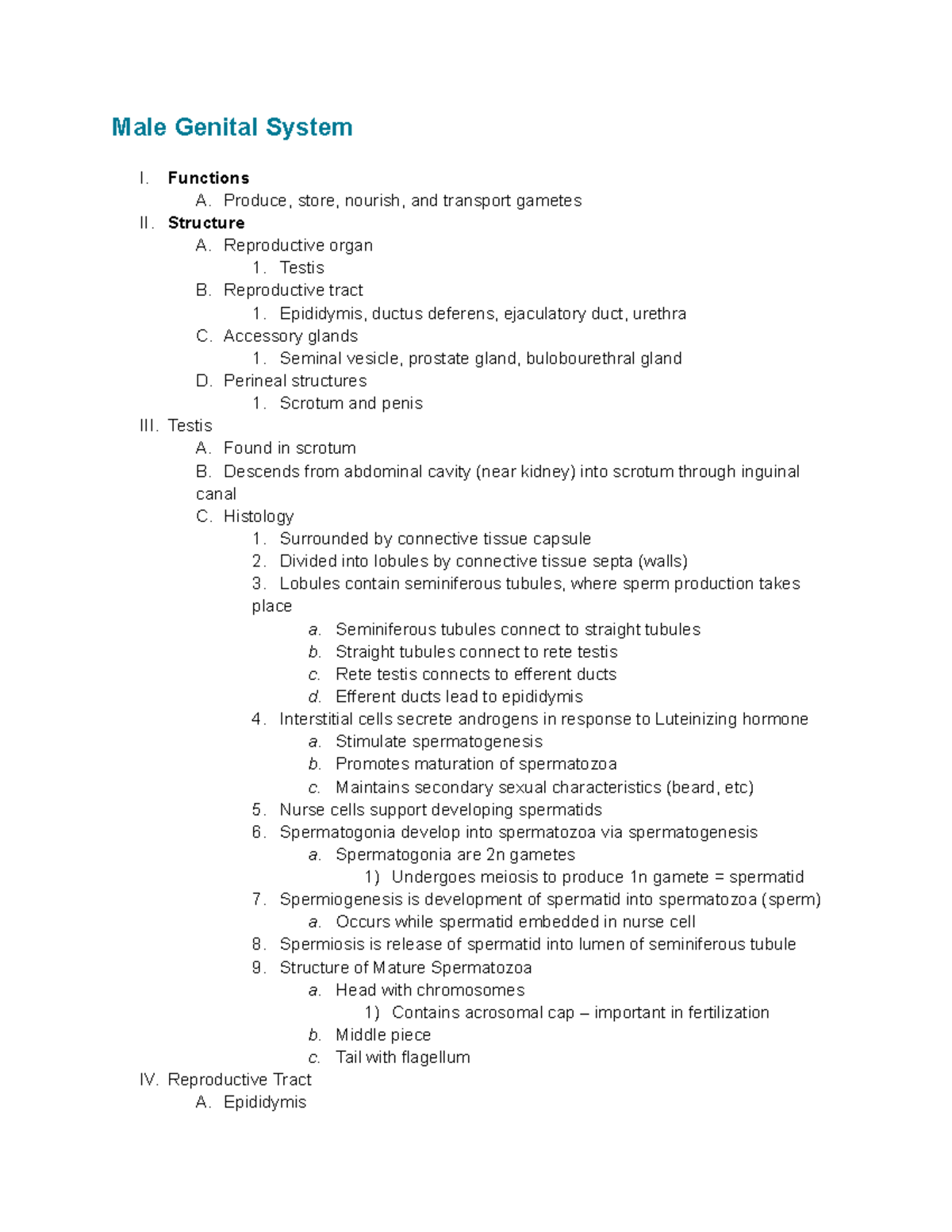 Male Genital System - Dr. Aidan Ruth - Male Genital System I. Functions ...
