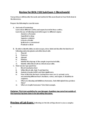 13 BIO 210 Lab 21 Exercise - BIO 210 Lab Module P Nervous System The ...