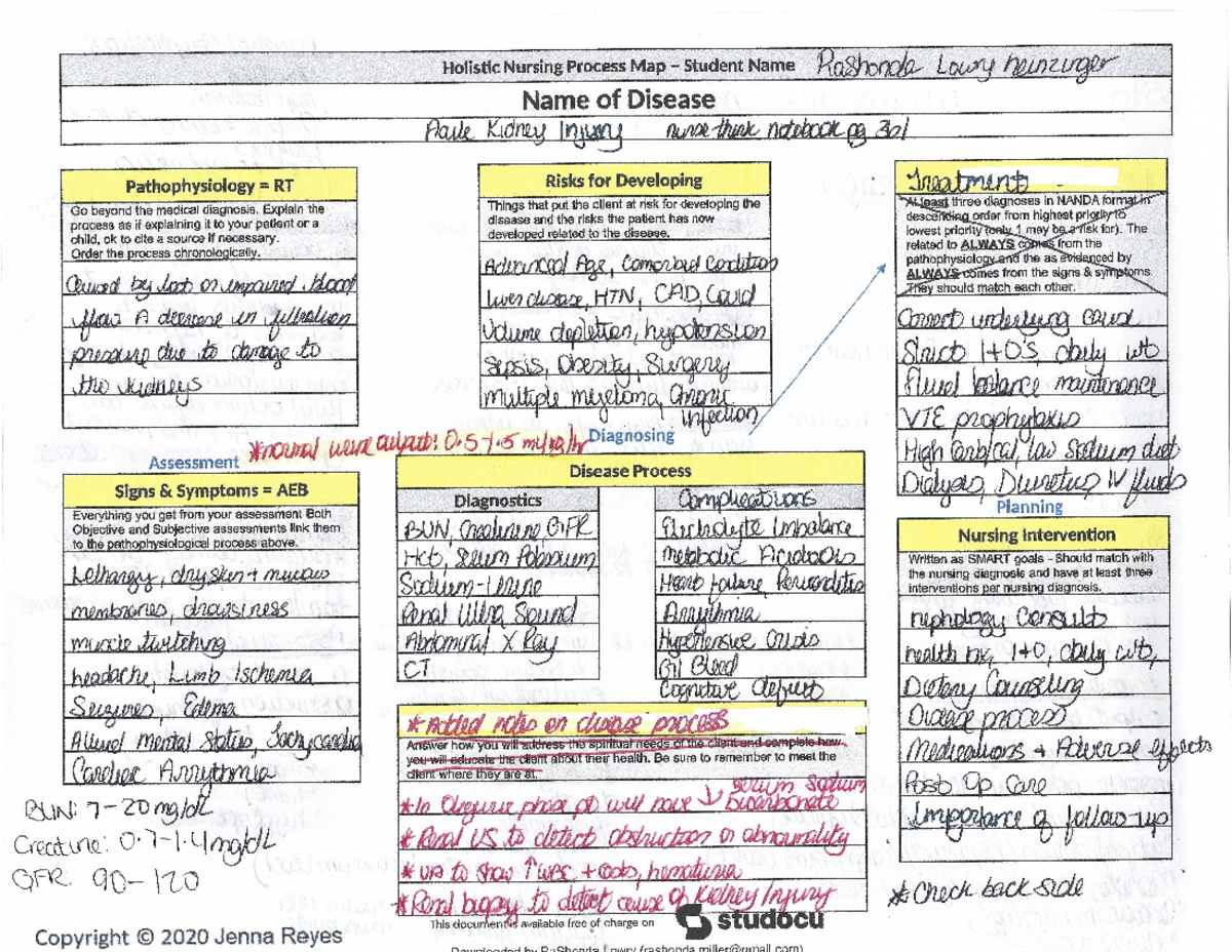 Acute Kidney Injury Concept Map - NUR-212 - Studocu