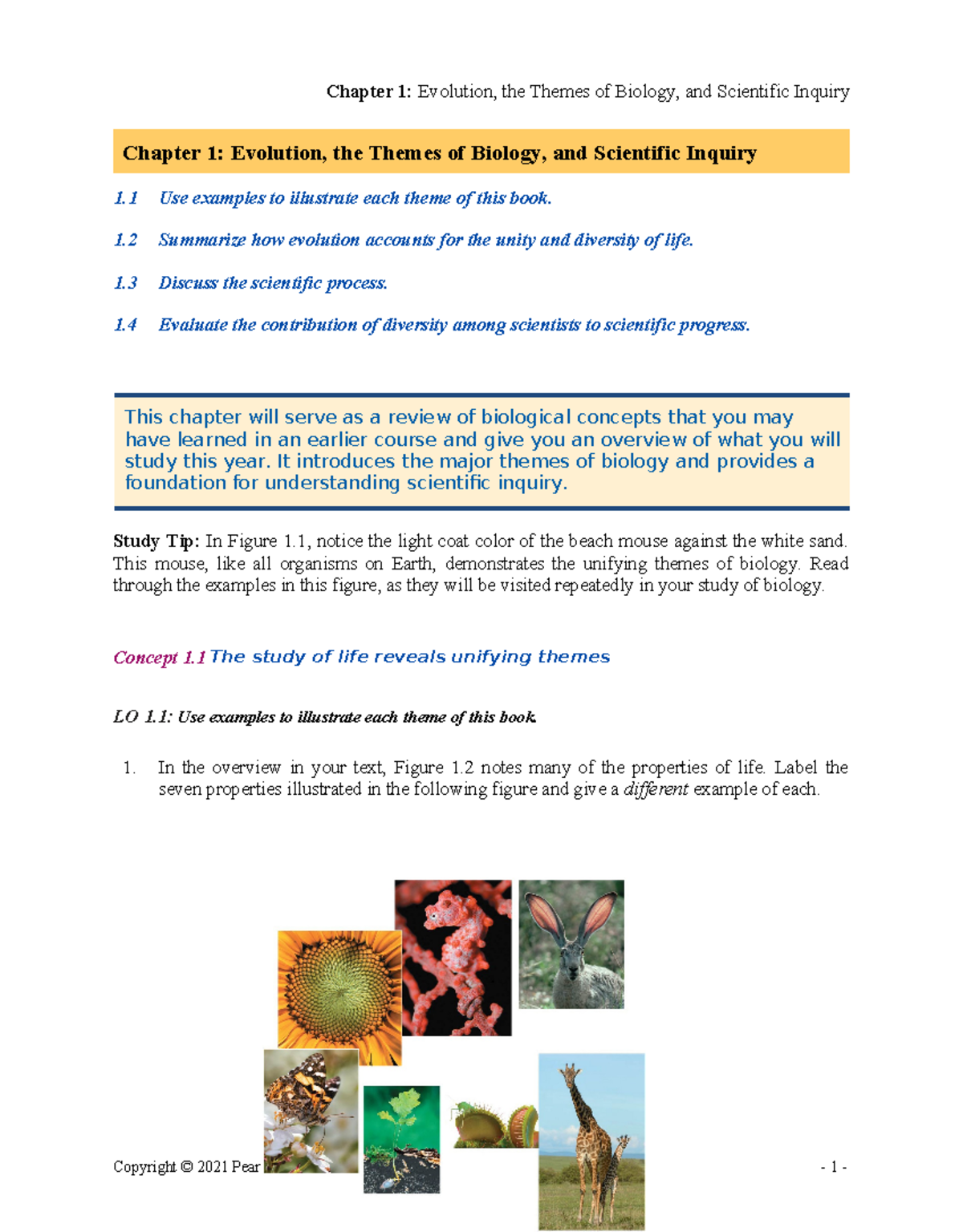 Bio12 ARG 01 - The cambell biology resource guide - Chapter 1 ...