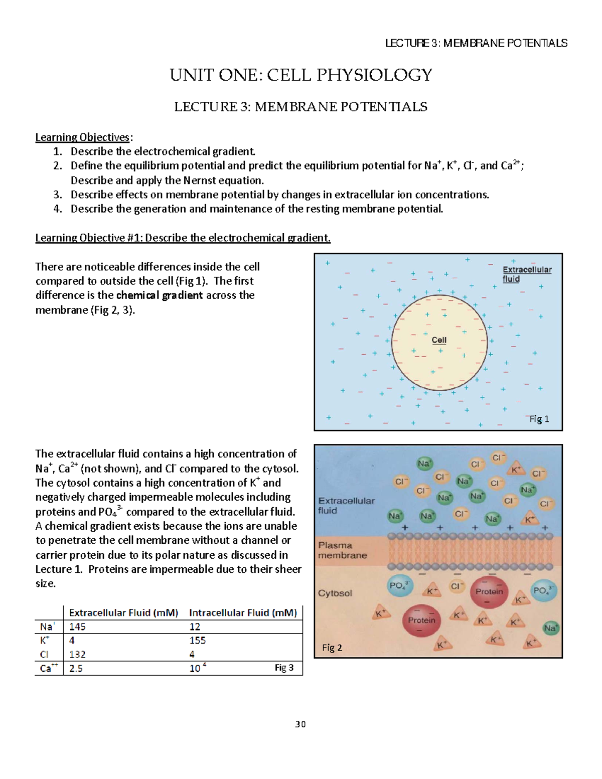 3 - done - 3 - done - UNIT ONE: CELL PHYSIOLOGY LECTURE 3: MEMBRANE POTENTIALS Learning ...