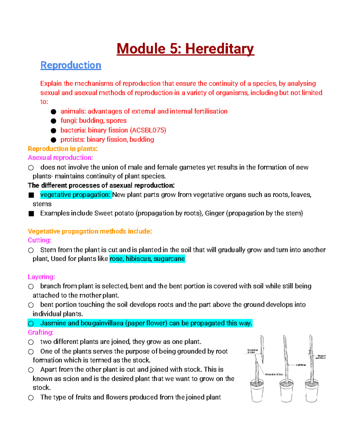 Module 5 heredity notes - Module 5: Hereditary Reproduction Explain the ...