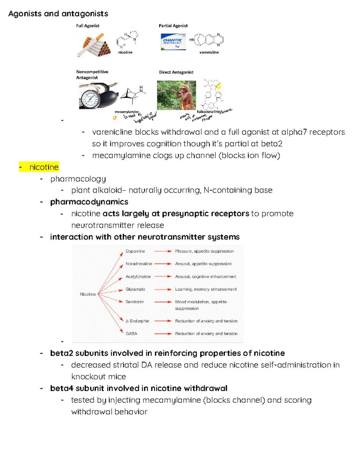 Neurosc C177 Agonists and Antagonists Lecture Notes - Agonists and ...
