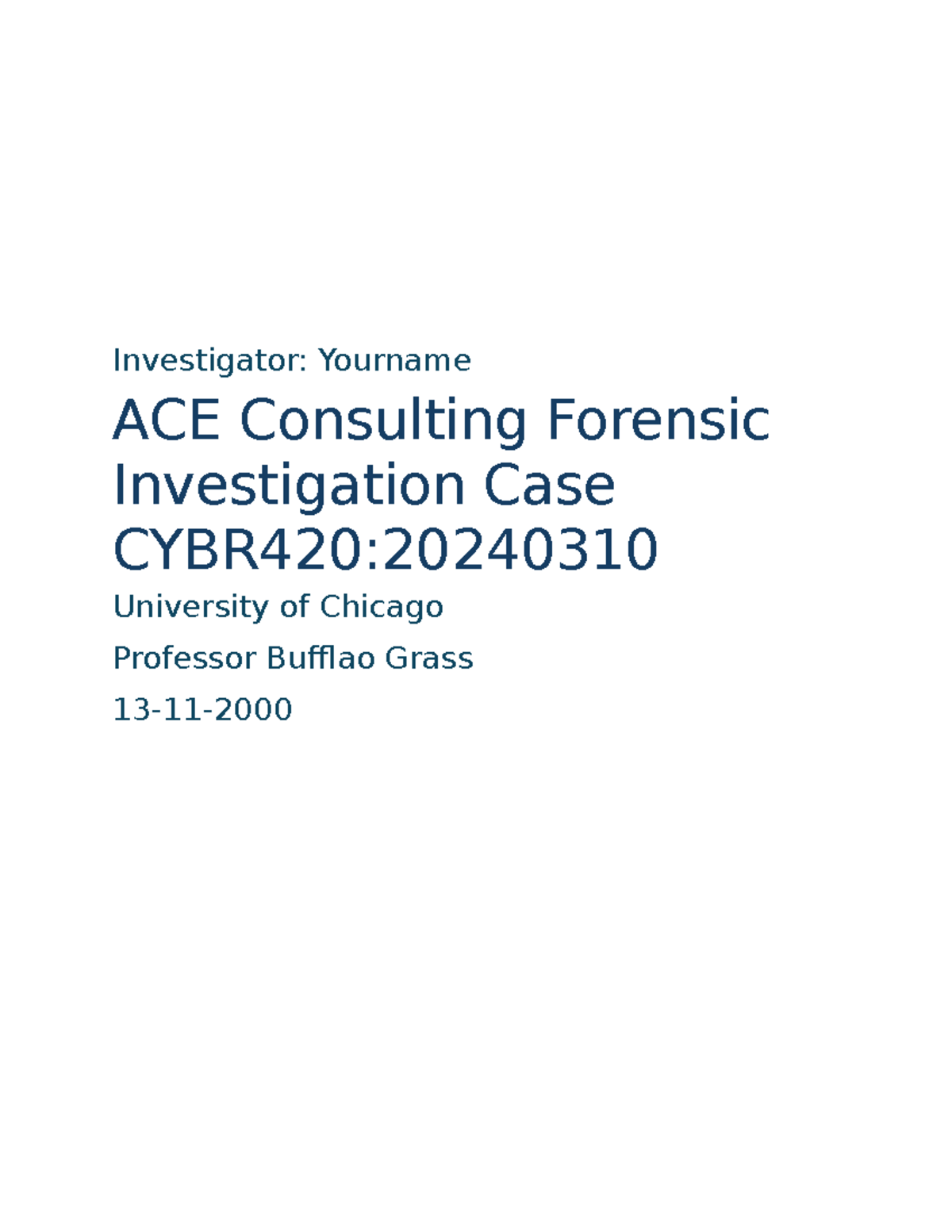 Forensic Investigative - ACE Consulting Investigative Report ...