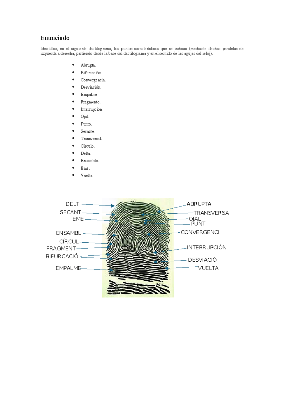 2. Lofoscopia y lofogramas CASO Práctico - Enunciado Identifica, en el ...