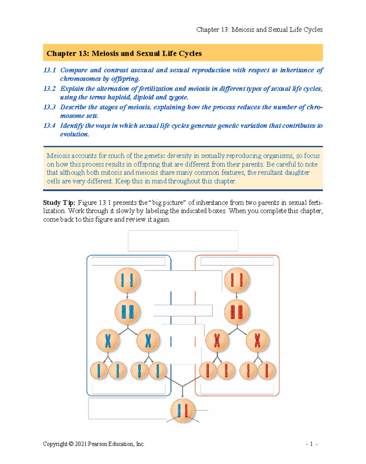 Bio12 ARG 13 - AP Bio reading guides - Copyright © 2021 Pearson ...