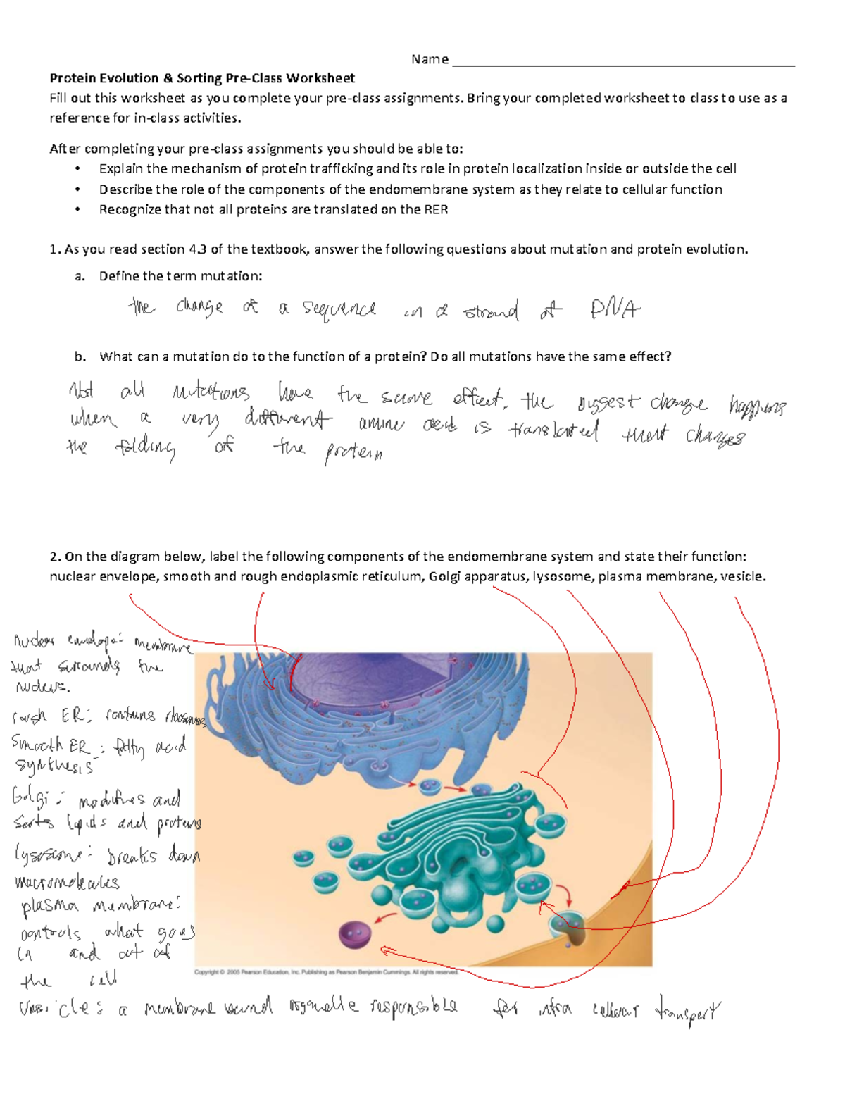 Week 6b Translation 2 Reading Guide - Name ...