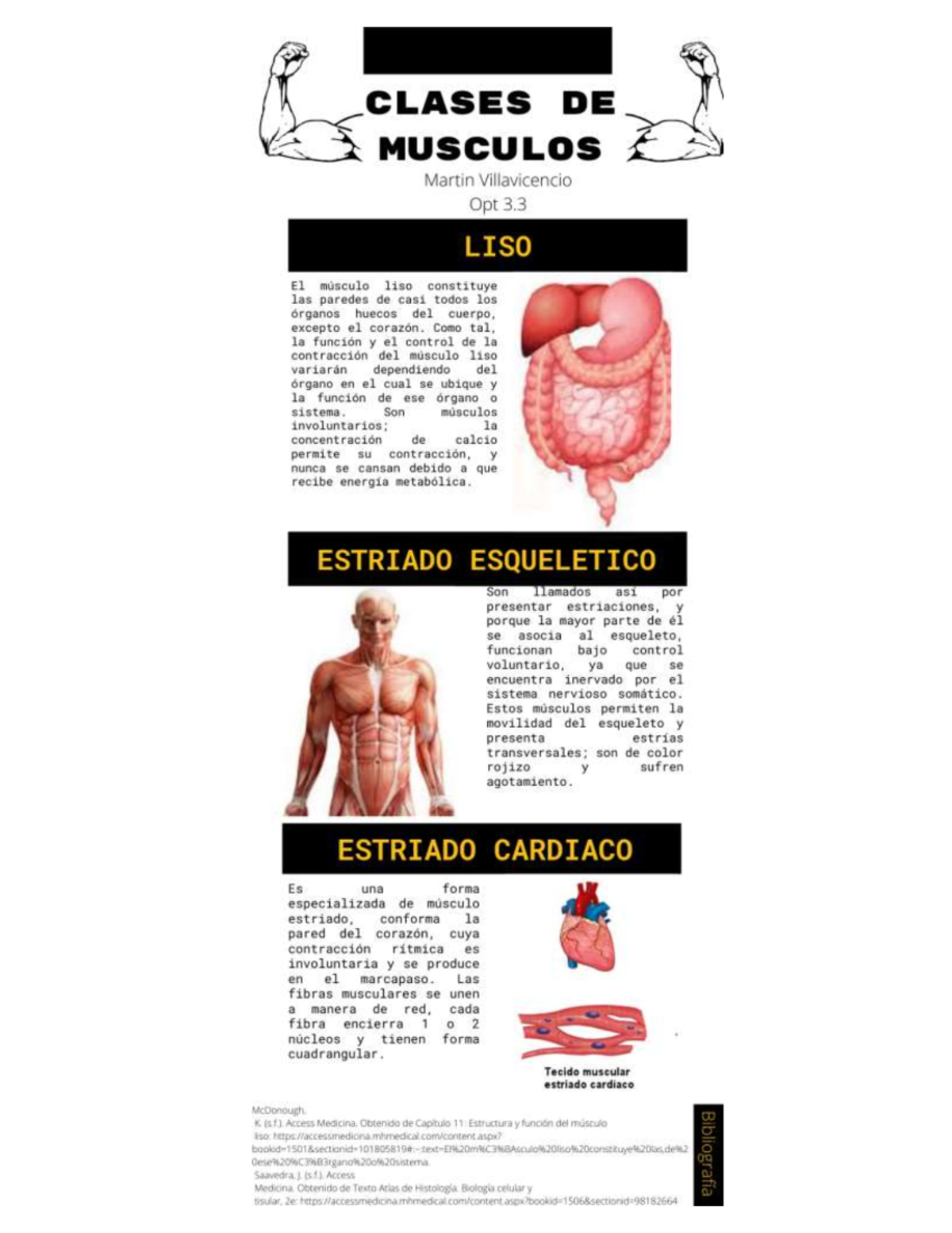 Clases de musculos - Resumen Anatomía - Studocu