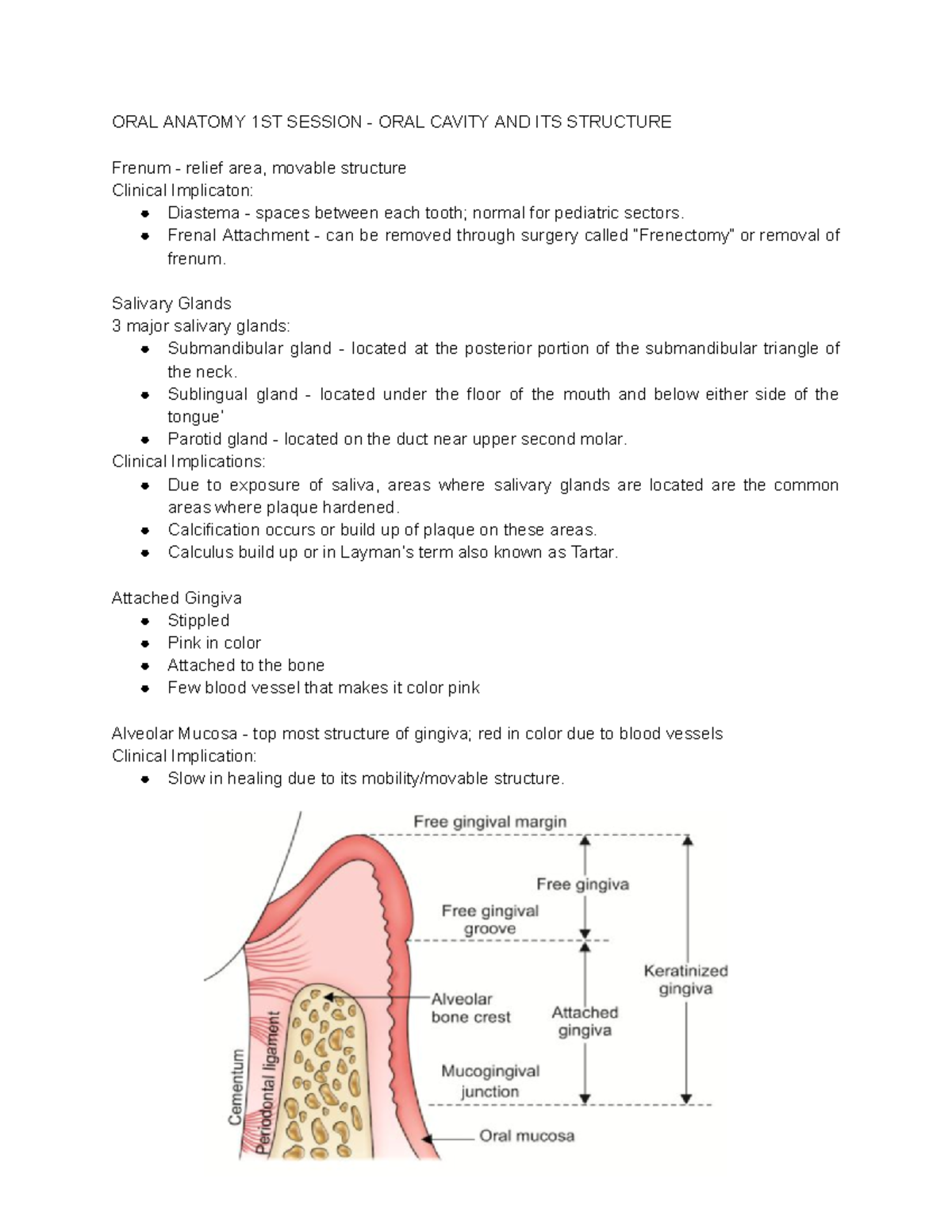 ORAL Anatomy Notes - ORAL ANATOMY 1ST SESSION - ORAL CAVITY AND ITS ...