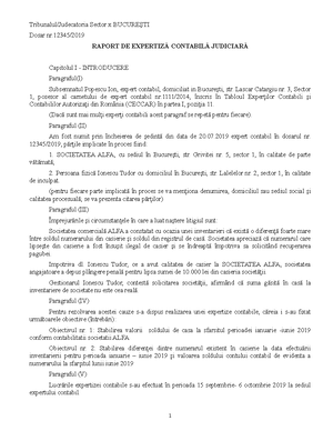 Raport DE ExpertizĂ ContabilĂ - TEMĂ: RAPORT DE EXPERTIZĂ CONTABILĂ ...