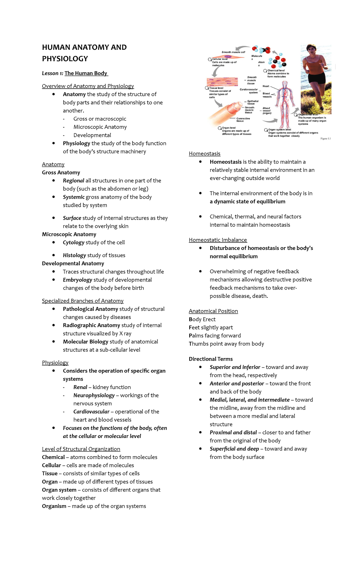 Lesson 1 - The Human Body - HUMAN ANATOMY AND PHYSIOLOGY Lesson 1: The ...