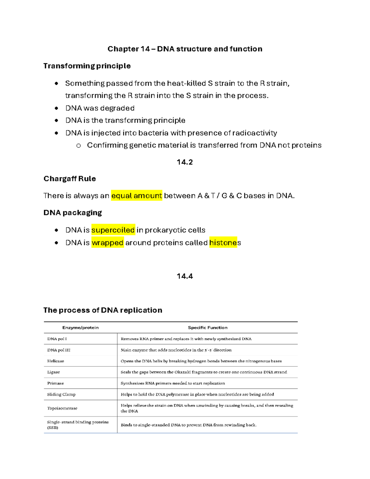 Chapter 14 structure and function - Copy - Chapter 14 – DNA structure ...