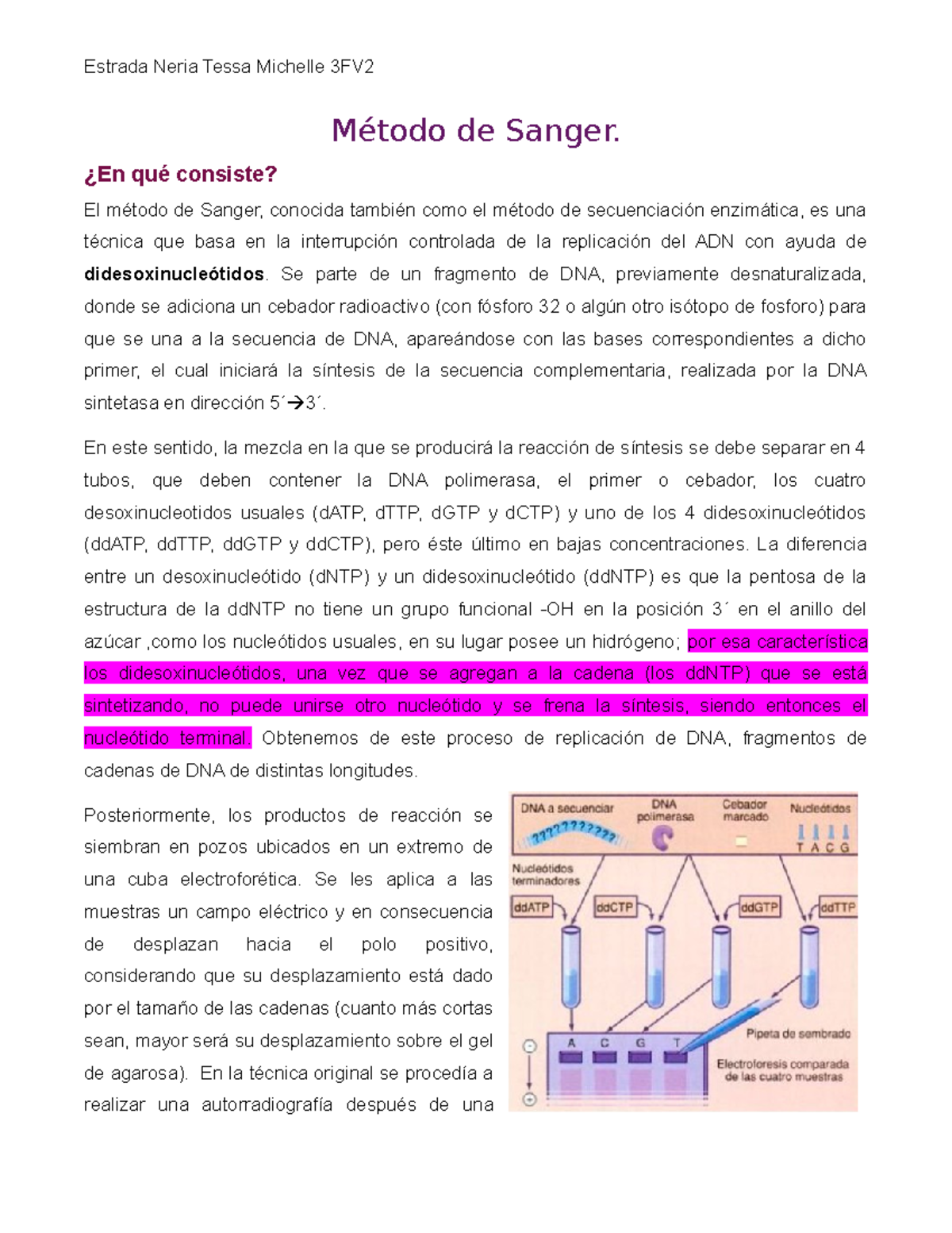 Método de Sanger - ¿En qué consiste? El método de Sanger, conocida ...