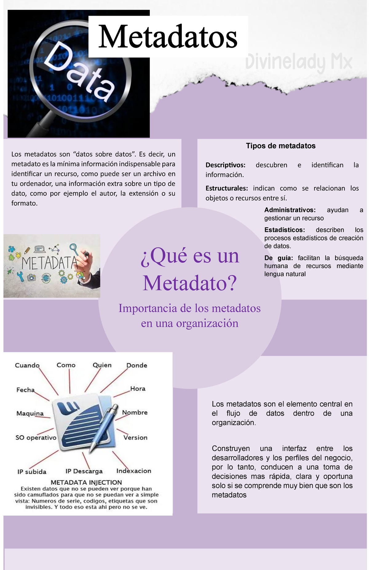 Infografia DE Metadato - ¿Qué es un Metadato? Importancia de los ...