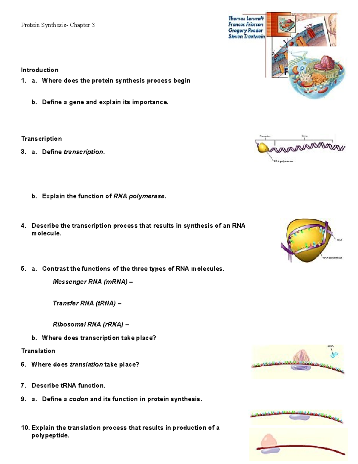 2-anim protein synthesis - Protein Synthesis- Chapter 3 Introduction a ...