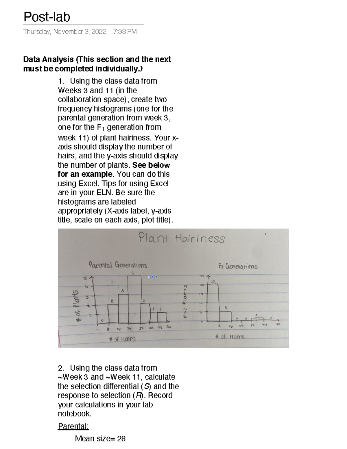 Week 11 lab - Full work shown for a lab assignment along with grade ...