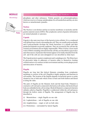 Document 23 - Basic microbiology - Studocu