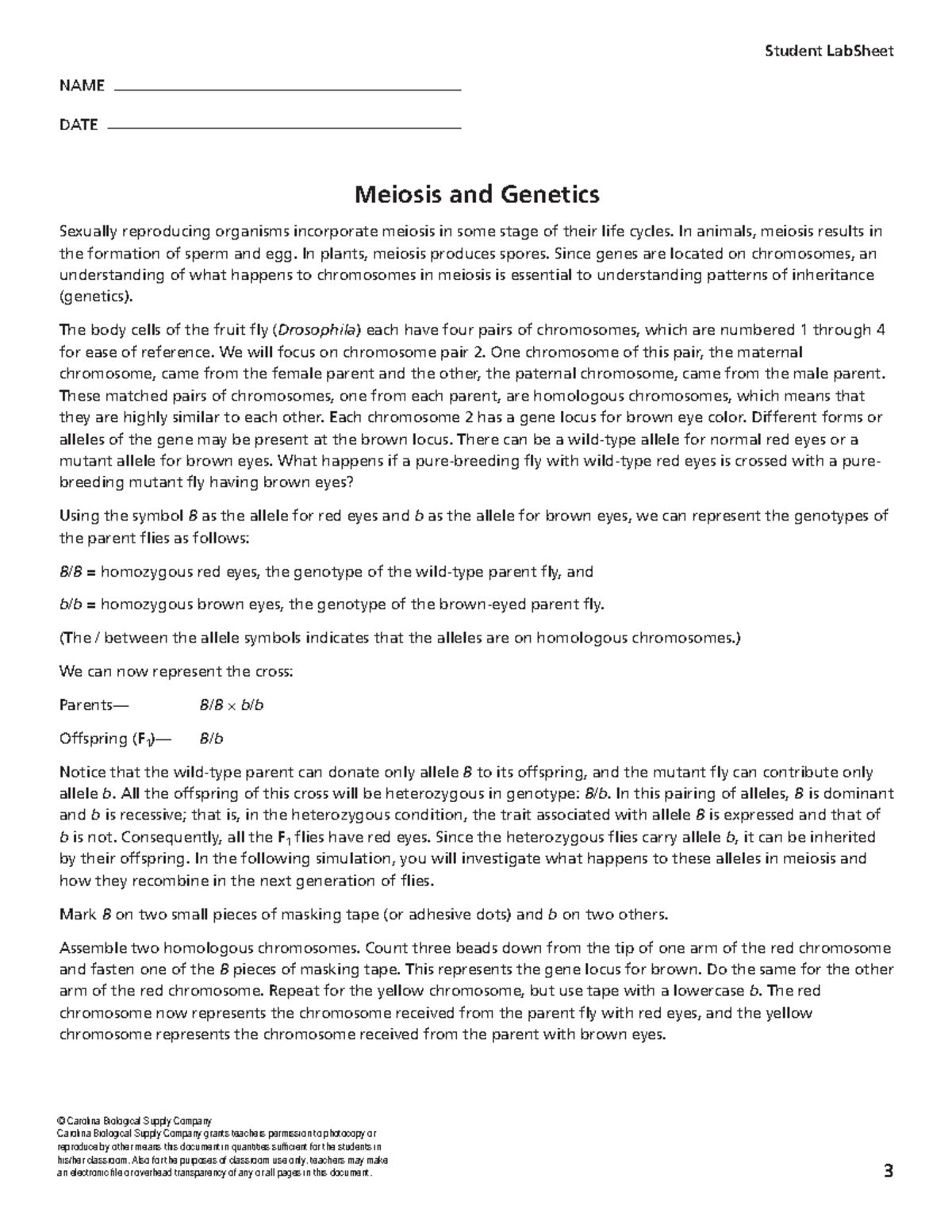 Carolina stu labsheets meiosis genetics - NAME DATE Meiosis and ...