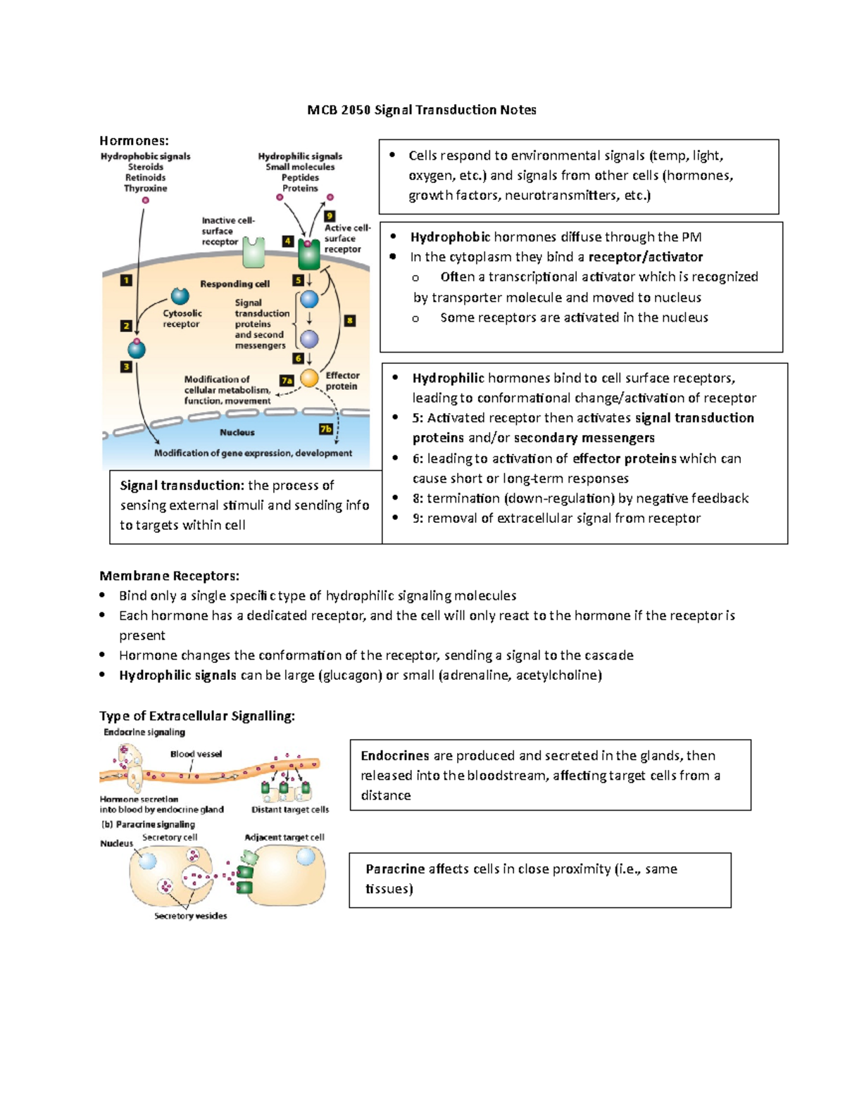 MCB 2050 Signal Transduction Notes - ) and signals from other cells ...