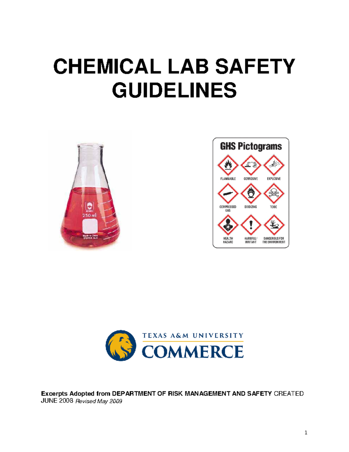 Chemistry Lab Safety Guidelines Oct 2019 - CHEMICAL LAB SAFETY ...