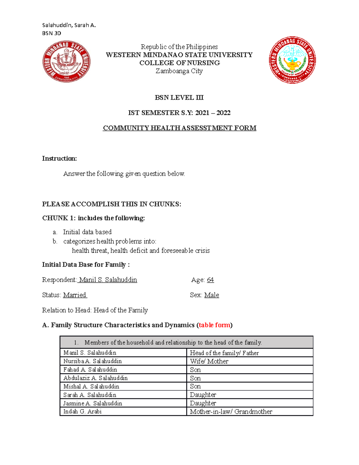 Community Health Assessment Form for Community area - BSN 3D Republic ...