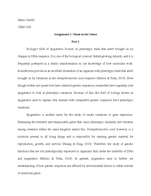 Developmental Psychology Chapters 1-4 Flashcards Quizlet - Developmental Psychology Chapters 1 ...