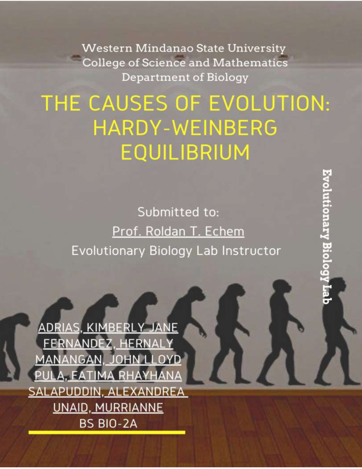Activity 4-Hardy Weinberg Equilibrium (Group 1) - THE CAUSES OF ...