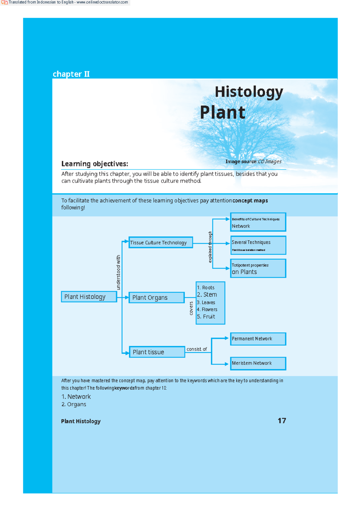 Plant Network - chapter II Histology Plant Learning objectives: Image ...