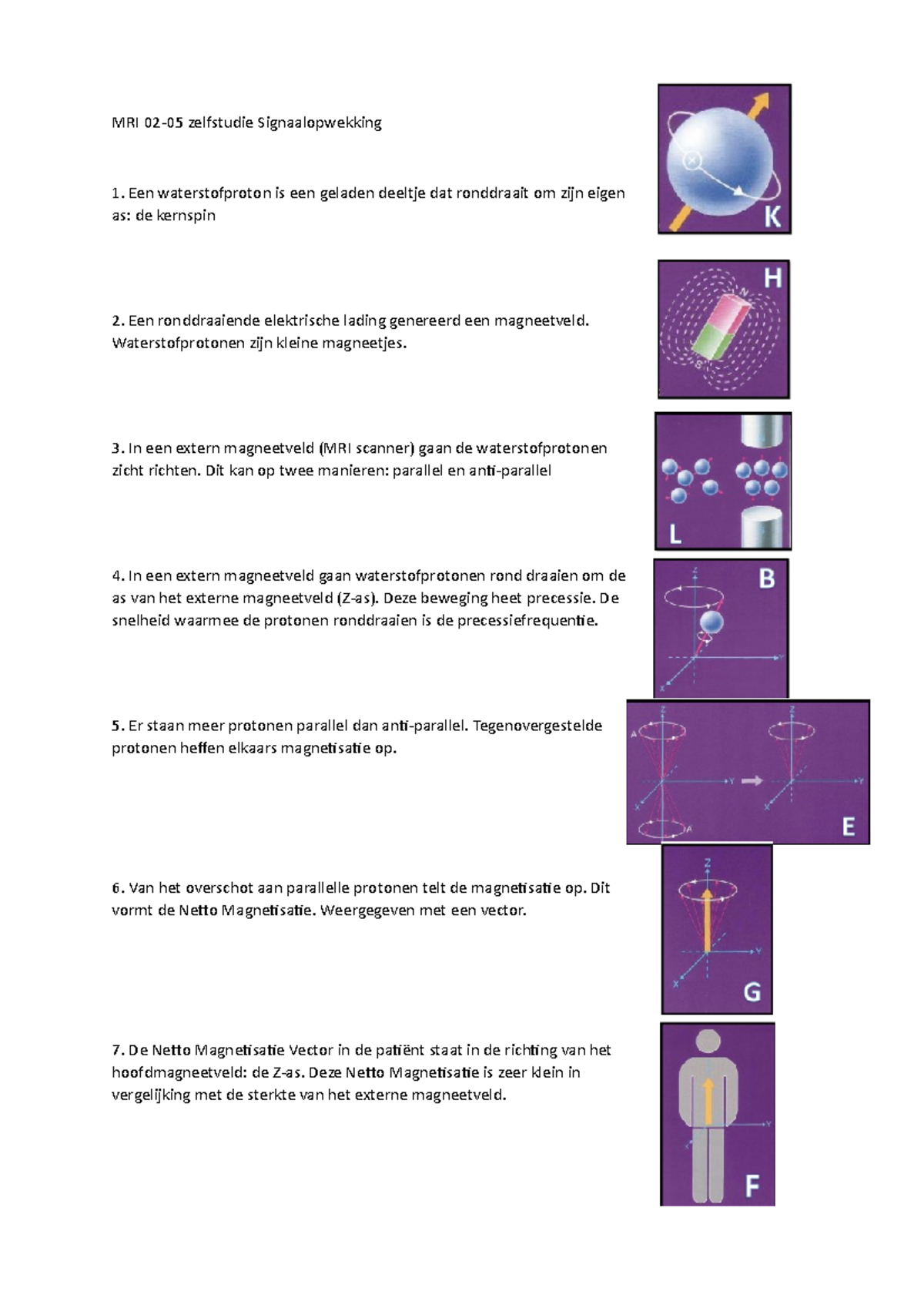 MRI 02-05 zelfstudie Signaalopwekking - Waterstofprotonen zijn kleine ...