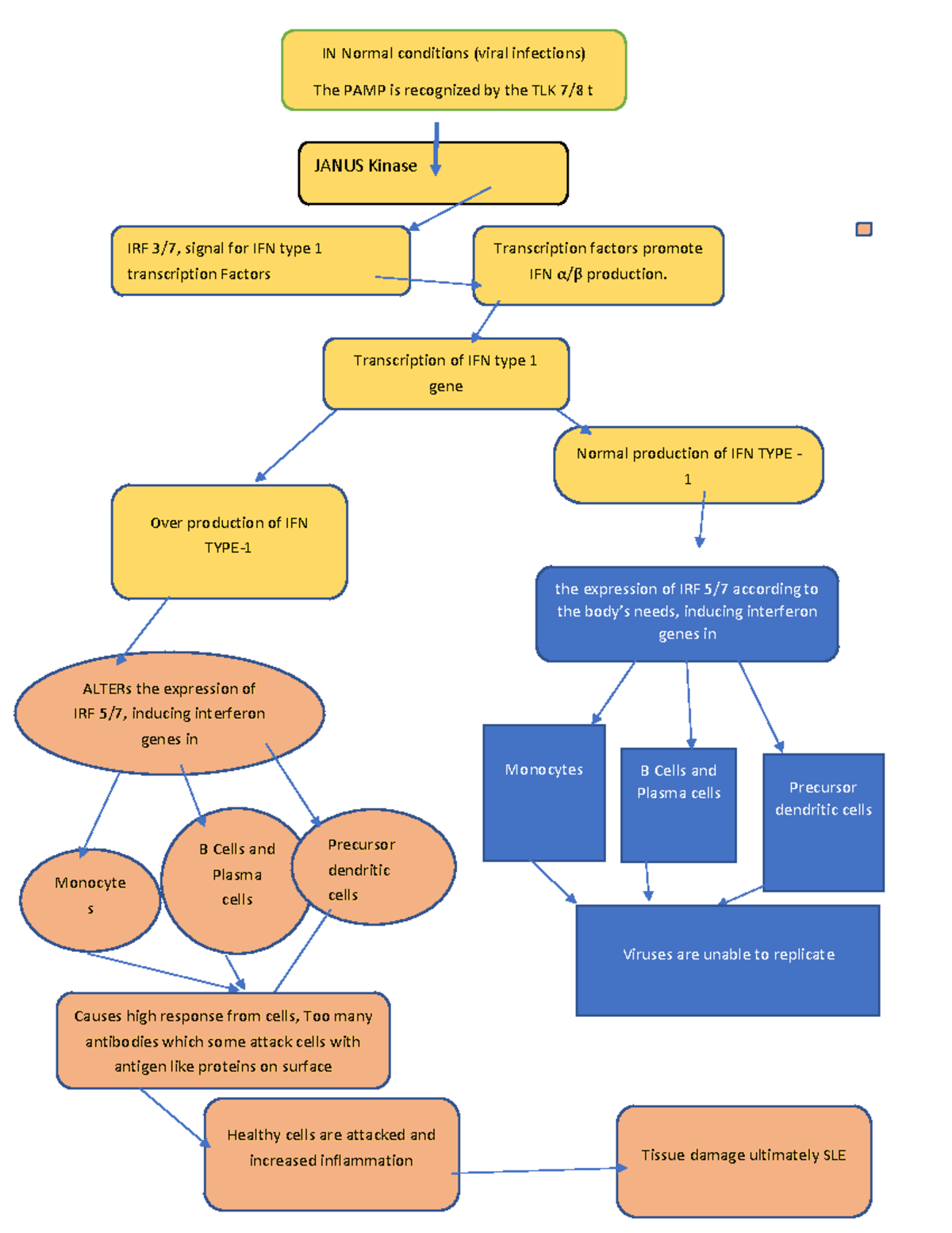 SLE path way - The SLE pathway involving the dys regulation of ...