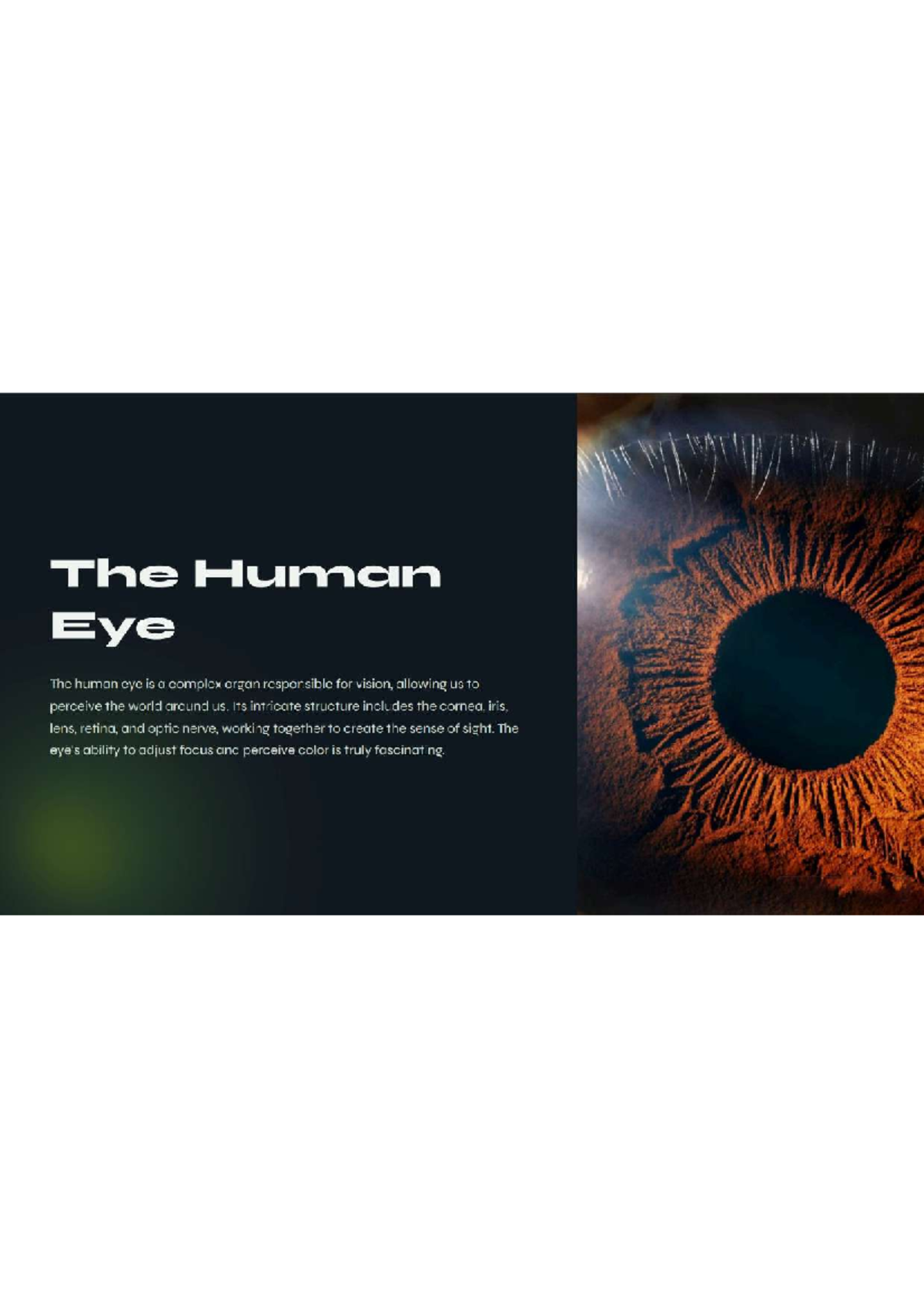 Human Eye PPT - Introduction to computational biology - Studocu