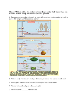 Chapter 9 Meiosis and the Genetic Basis of Sexual Reproduction Study ...