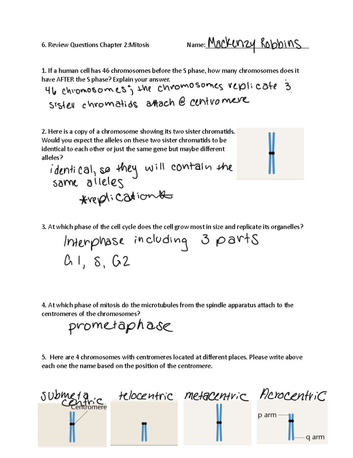 Mitosis Review Questions - Review Ques,ons Chapter 2:Mitosis Name