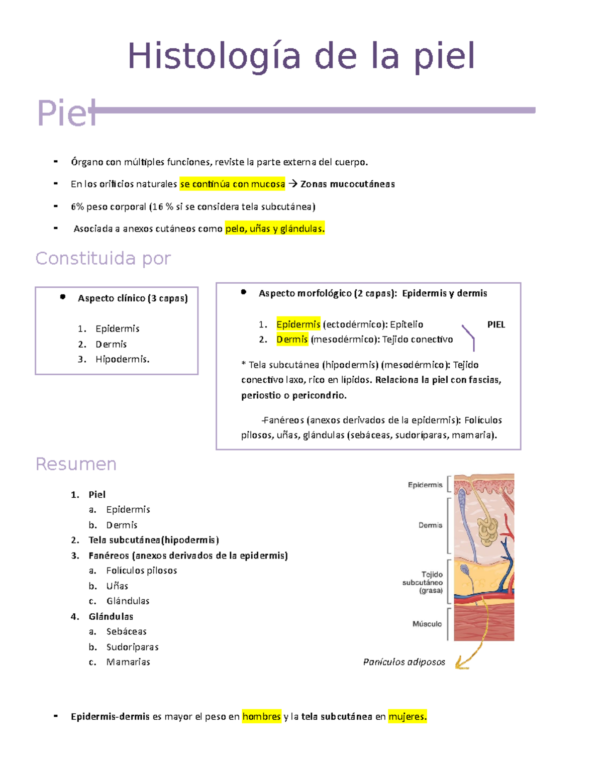 1. Histologia piel - US y electroterapia, descripcion, parametros ...
