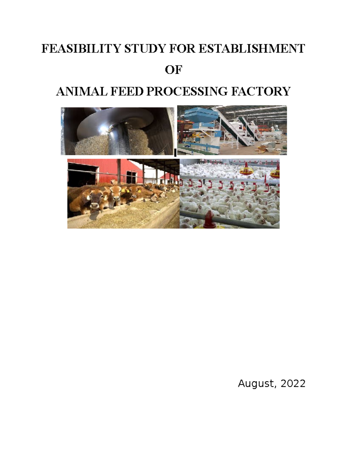 Sample Feasibility study - FEASIBILITY STUDY FOR ESTABLISHMENT OF ...