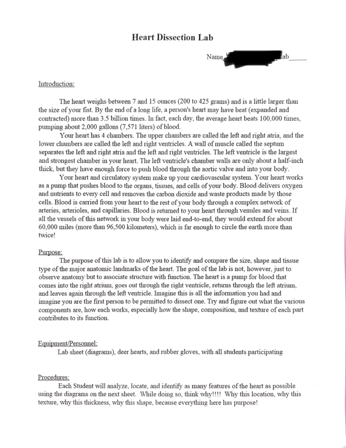 Heart Dissection Lab - KIN 431 - Studocu