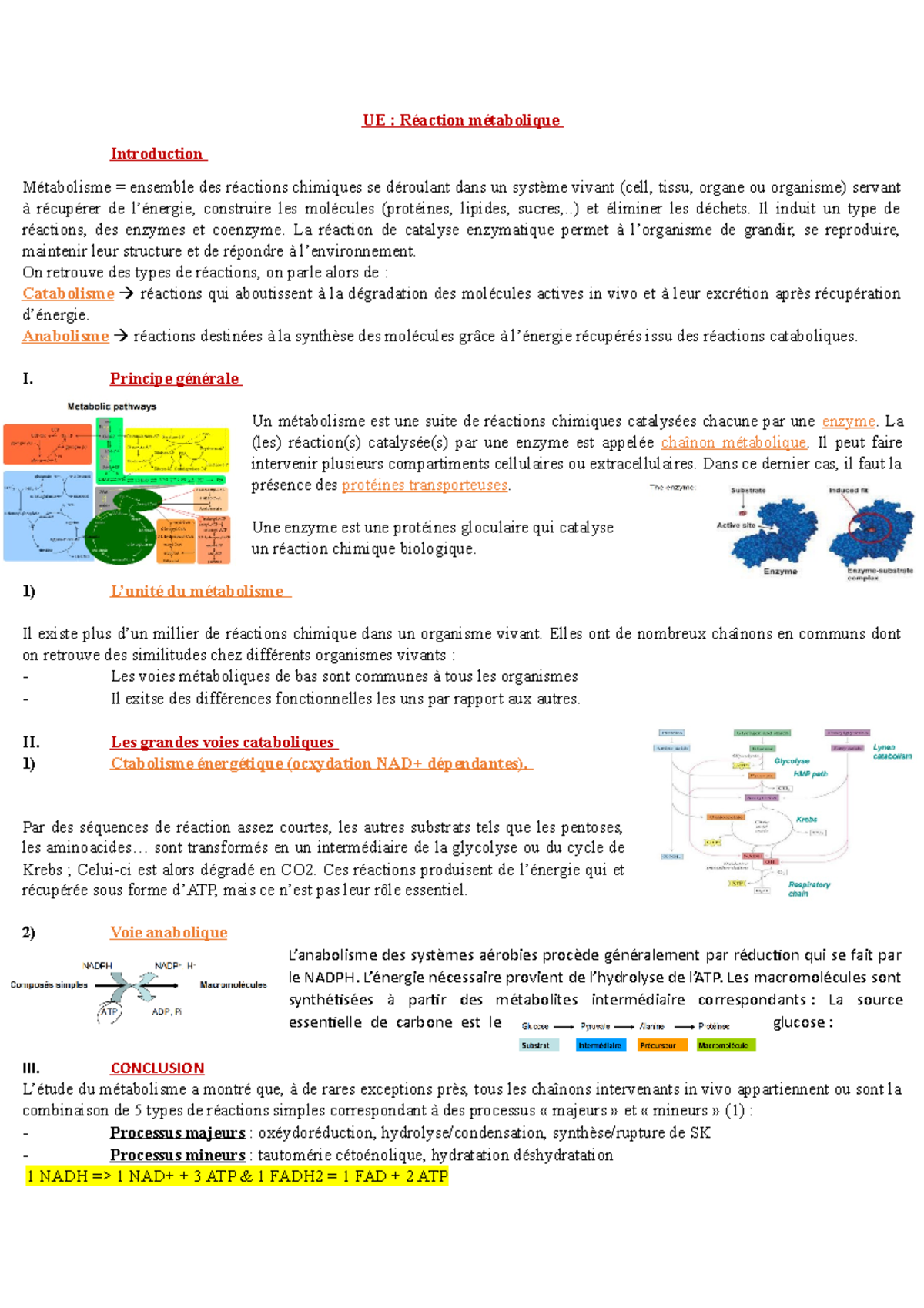 Cours 1 - Généralités mécanismes sur le métabolisme - UE : Réaction ...