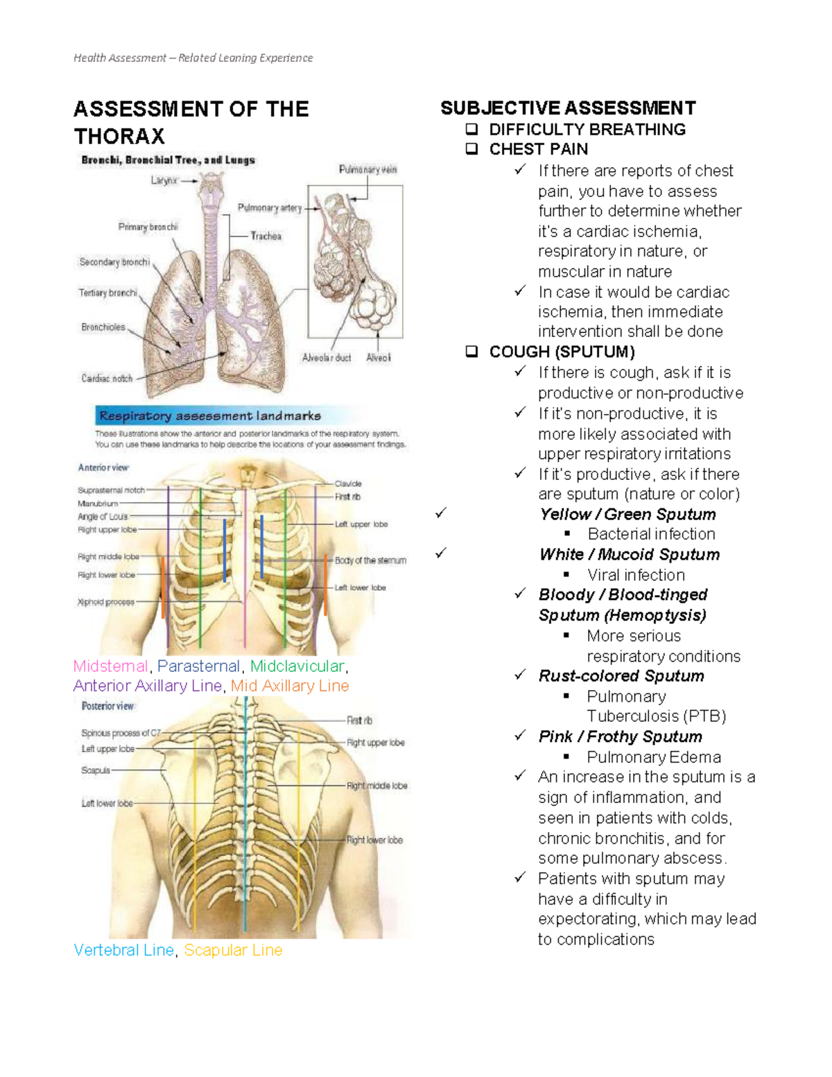 Thorax-Assessment - Thorax-Assessment - ASSESSMENT OF THE THORAX ...